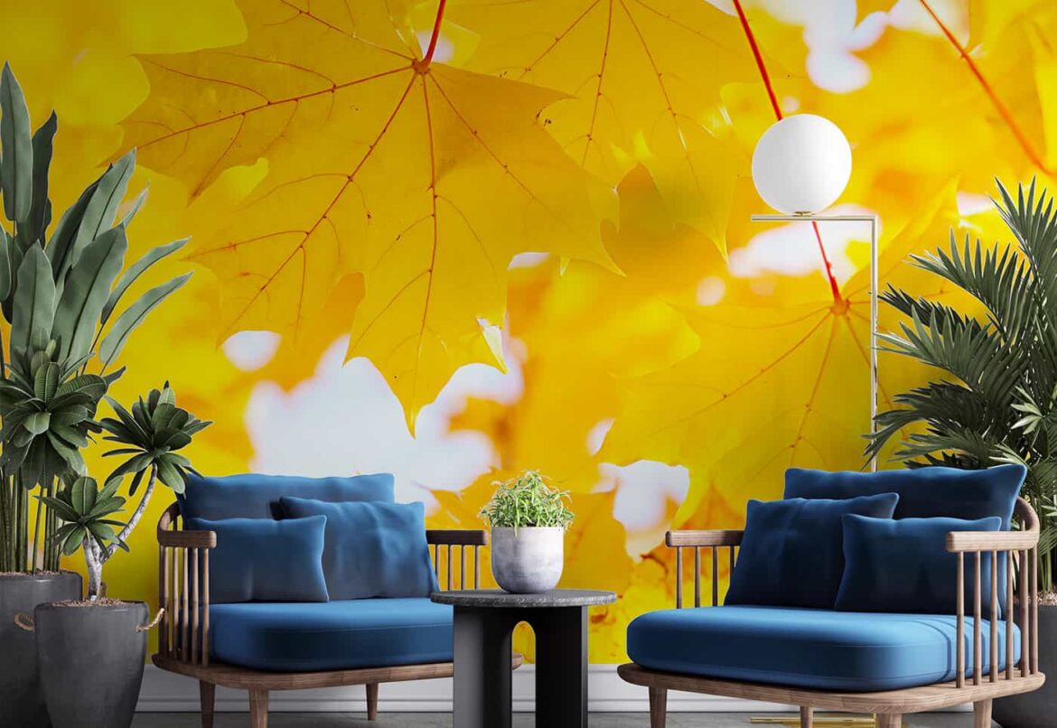 30 Colorful Wallpaper Design Ideas | Wall Curry
