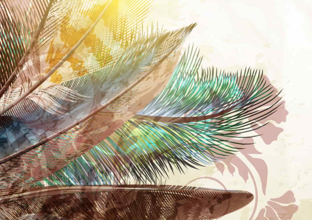 Nature Inspired Feather Wallpaper Unique Statement Wall Mural